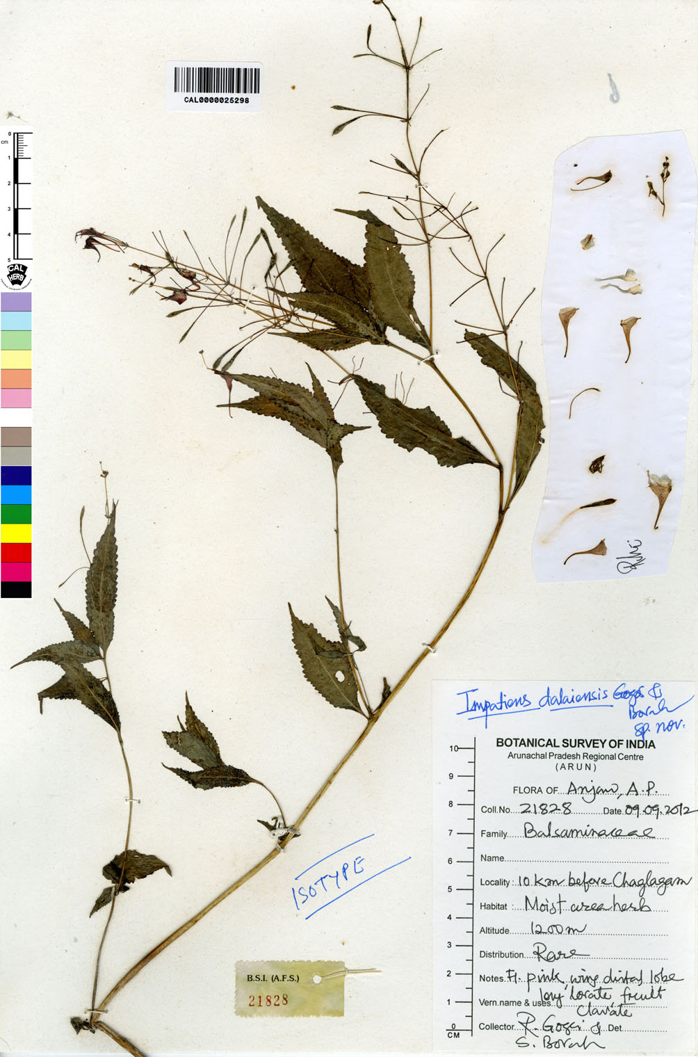 IVH | Indian Virtual Herbarium